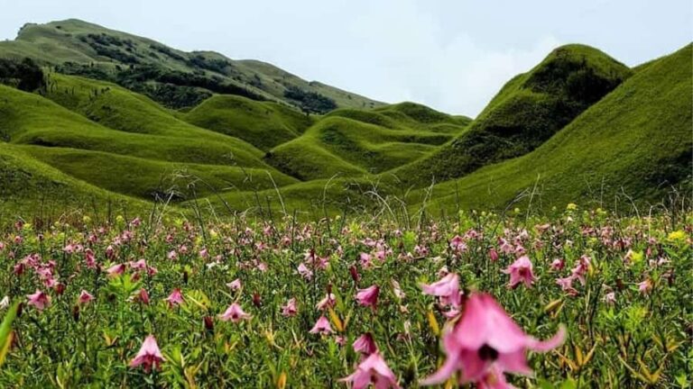 Dzukou Valley - Hidden Valley of Flowers in Northeast India
